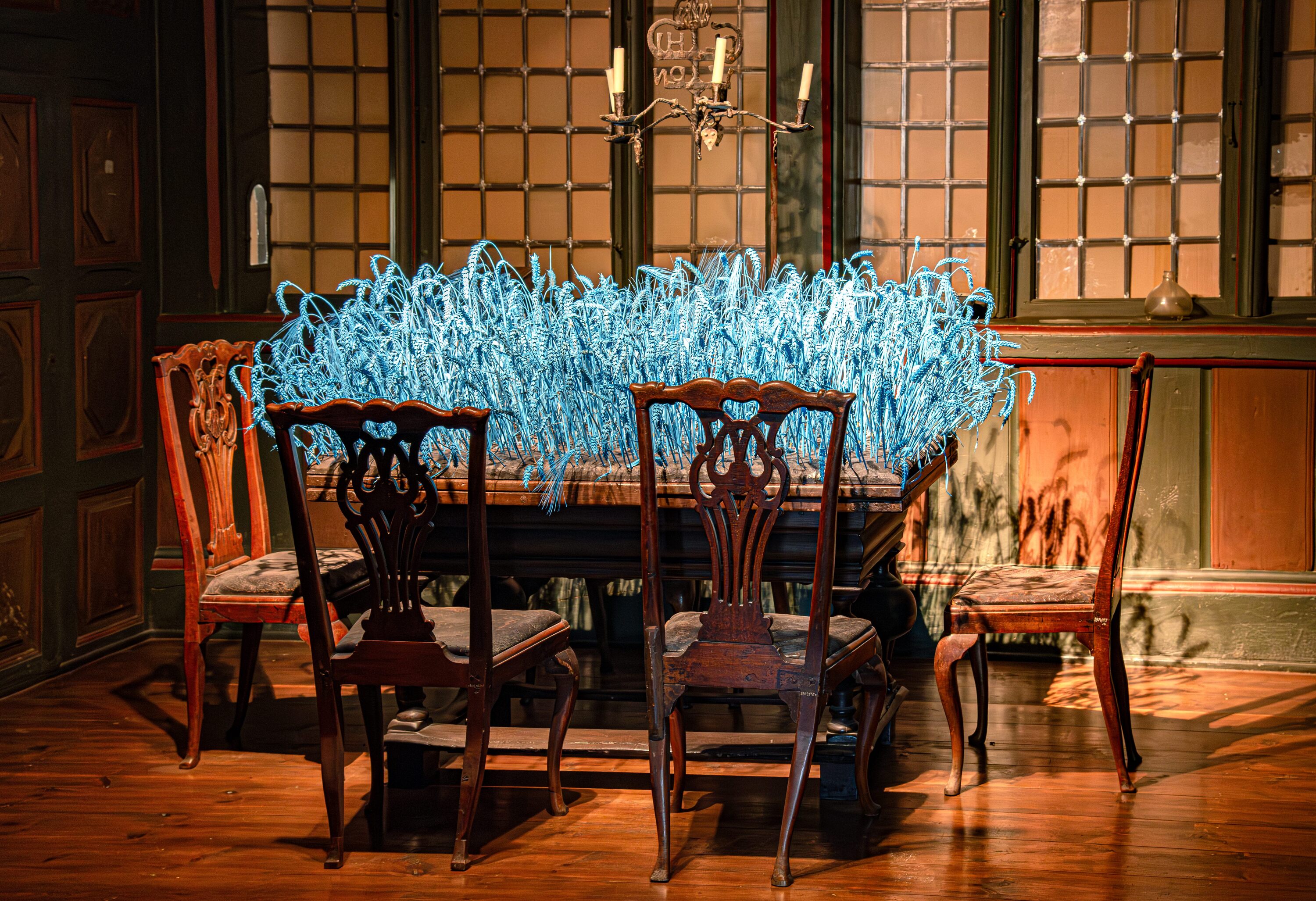 Der Tisch voller blauen Weizen - Schleswiger Fotogruppe