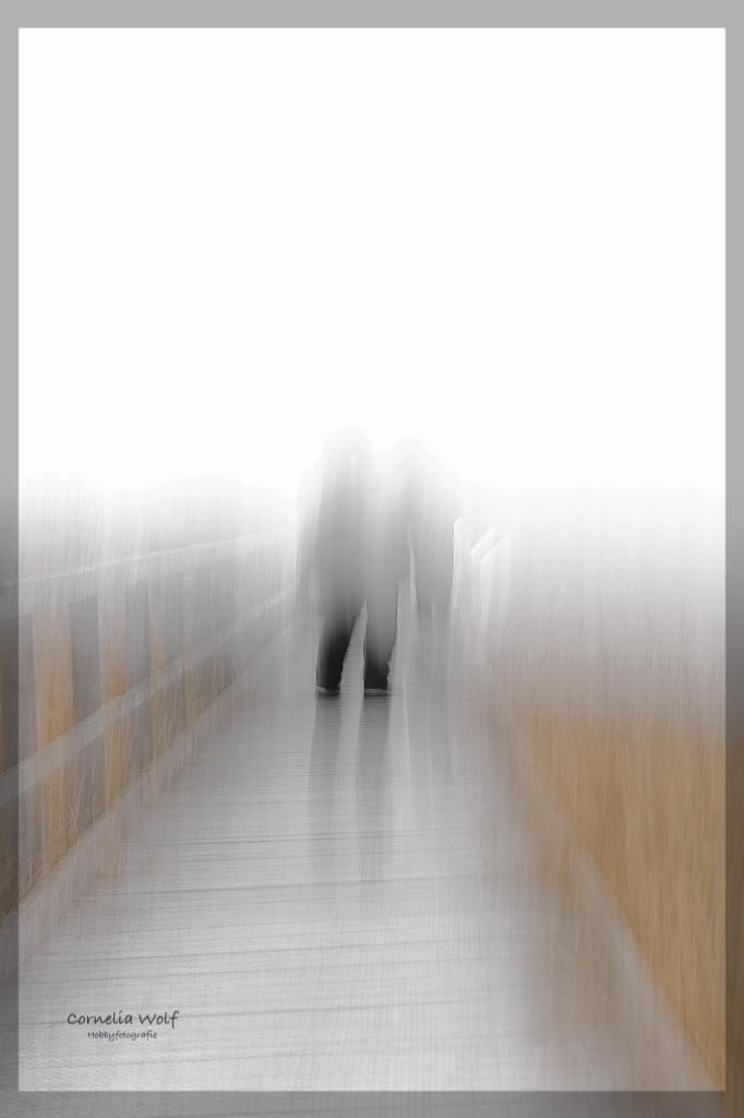 Auf dem Holzsteg durch das Wilde Moor - Schleswiger Fotogruppe